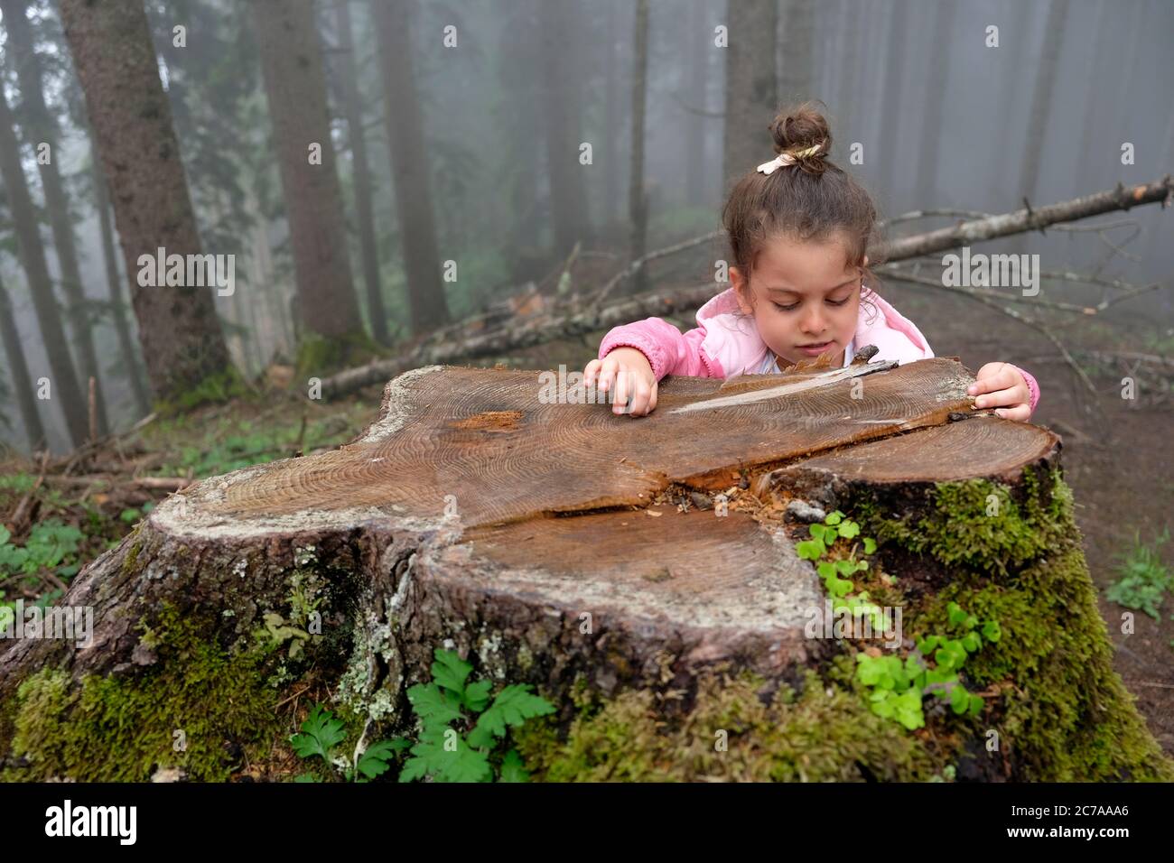 girl looking sad on the stump of the cut tree Stock Photo - Alamy