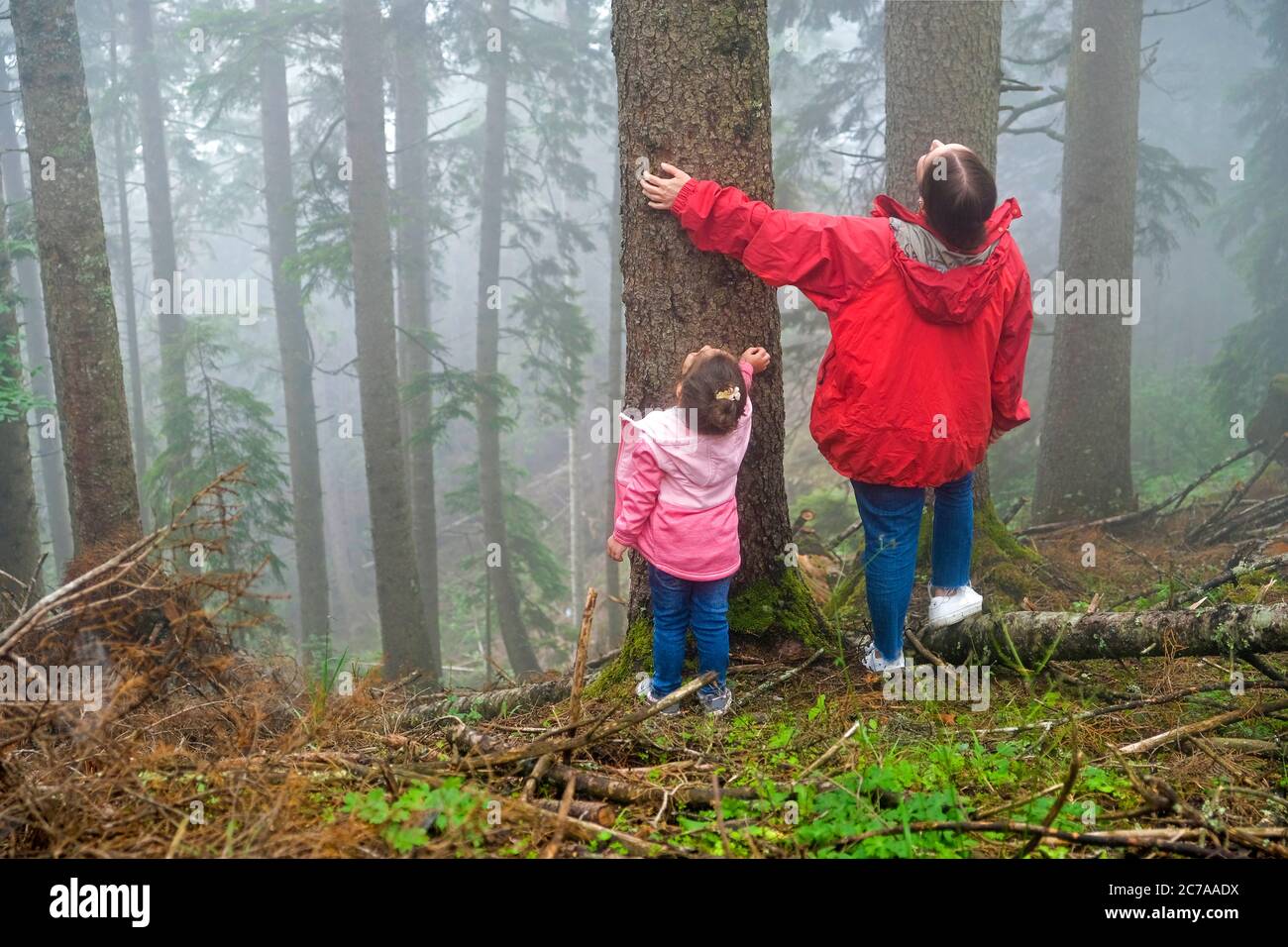 Mysterious girl trees hi-res stock photography and images - Alamy