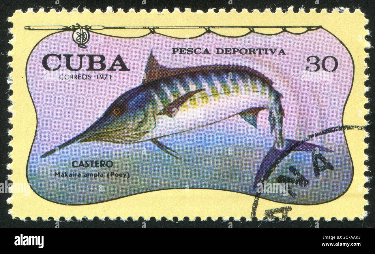 CUBA - CIRCA 1971: stamp printed by Cuba, shows fish, Makaira ampla ...