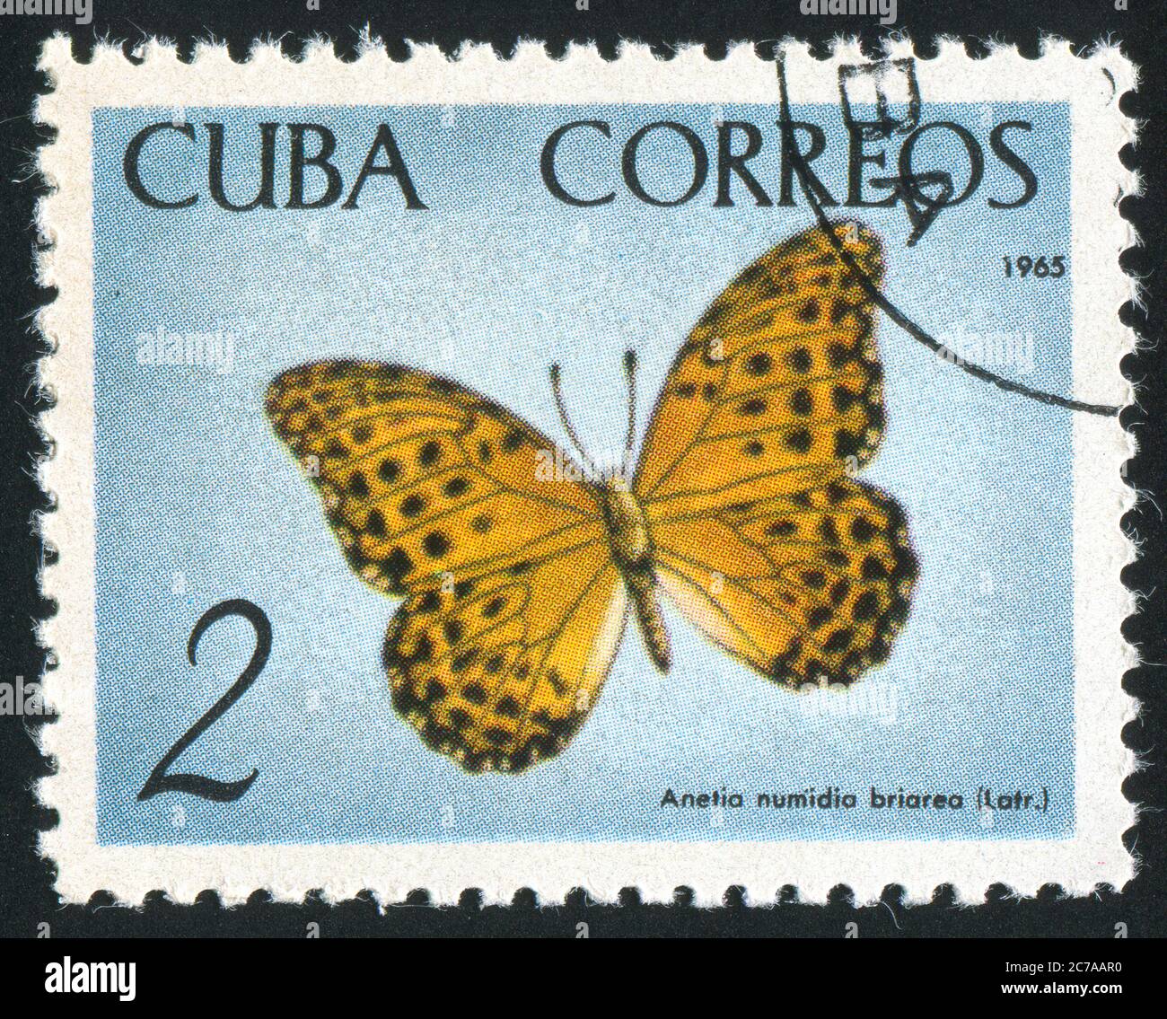 CUBA - CIRCA 1965: stamp printed by Cuba, shows butterfly, circa 1965 ...