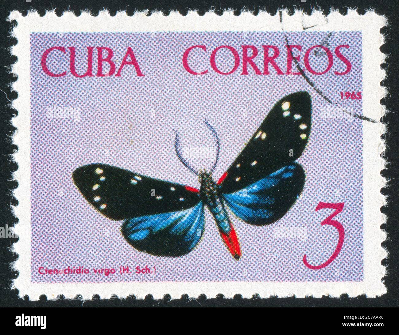 CUBA - CIRCA 1965: stamp printed by Cuba, shows butterfly, circa 1965 ...