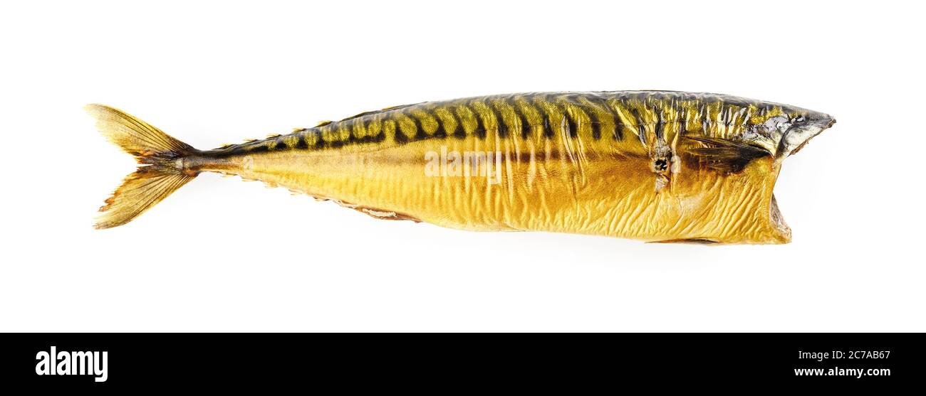 Tasty smoked mackerel carcass without head isolated on a white ...