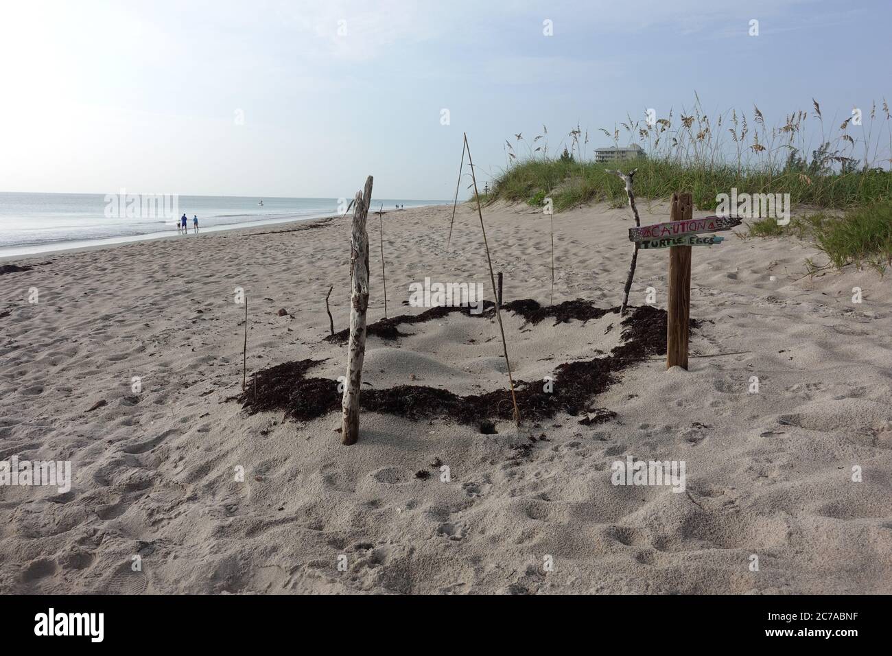 Turtle conservation florida hi-res stock photography and images - Alamy