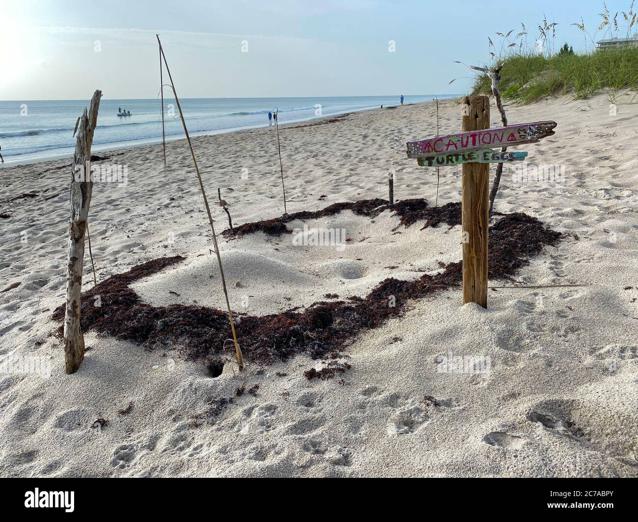 A sea turtle nest on the beach in North Hutchinson Island, Florida ...