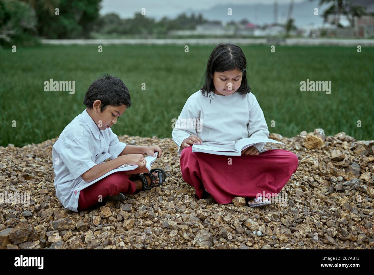 Two elementary school students studying together at public park Stock ... Two elementary school students studying together at public park Stock ...