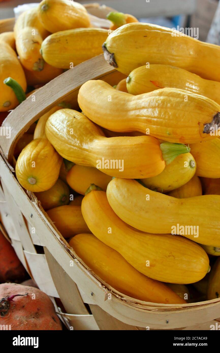 Fresh, ripe, squash in a basket Stock Photo - Alamy