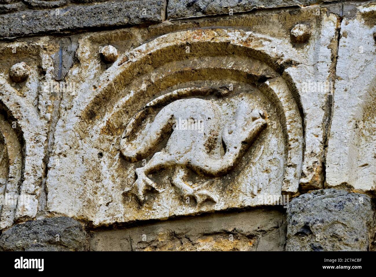 Fabulous Stone Animal on The Frieze of Purely Romaneque St. Gallus ...