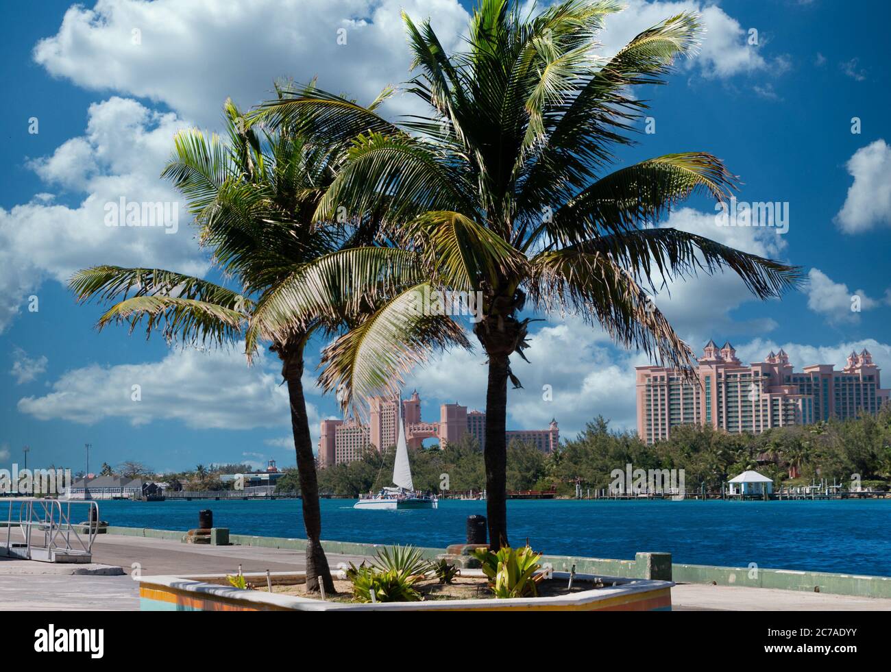 Luxury Resort Through Palm Trees Stock Photo - Alamy
