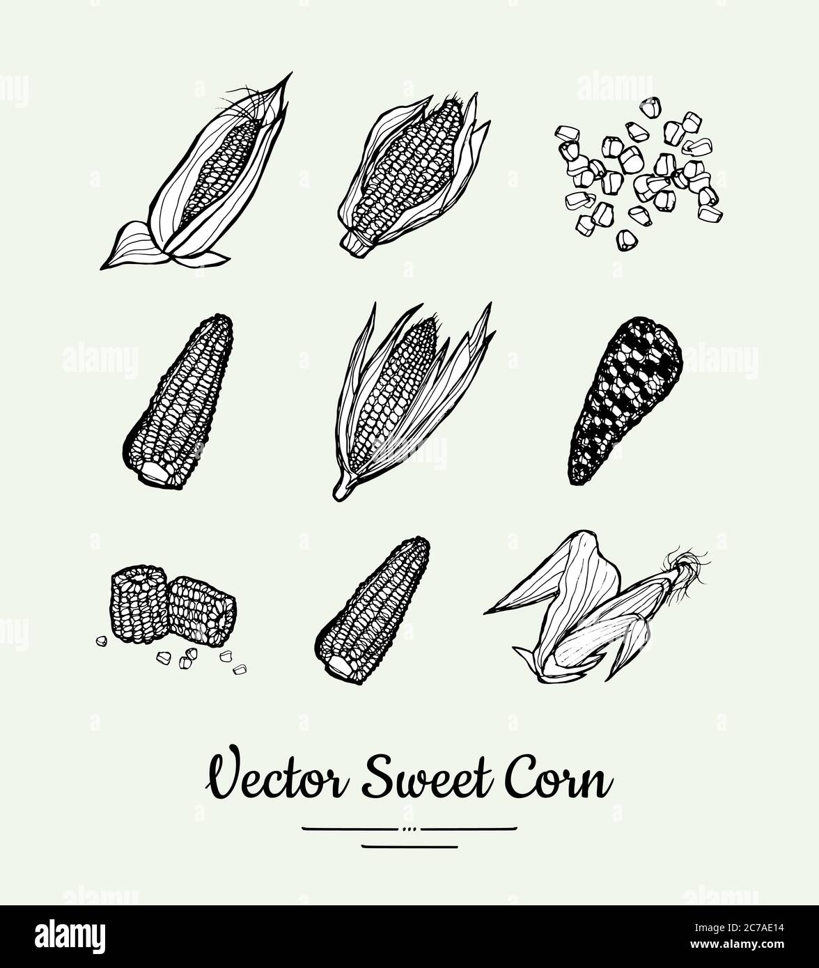 Sweet corn, corncobs, maize isolated groceries vector set for poster ...