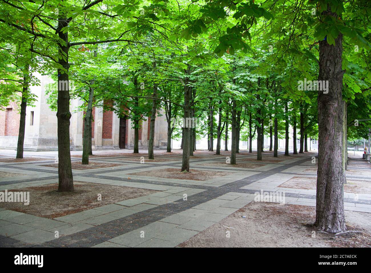 A public park with a symmetrically planted trees Stock Photo - Alamy