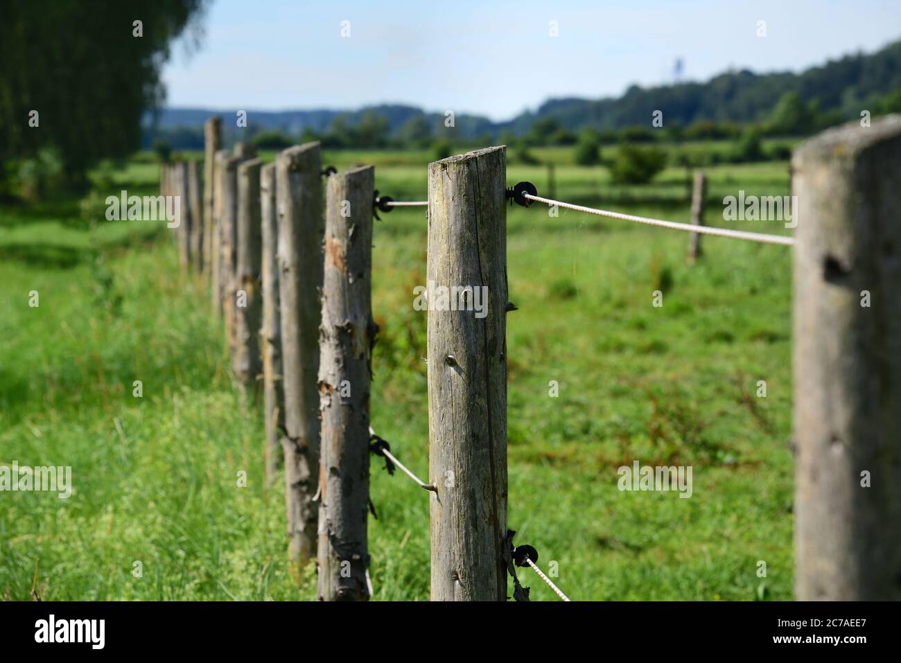 Detail of an electric fence made of wood and with cables on a pasture ...