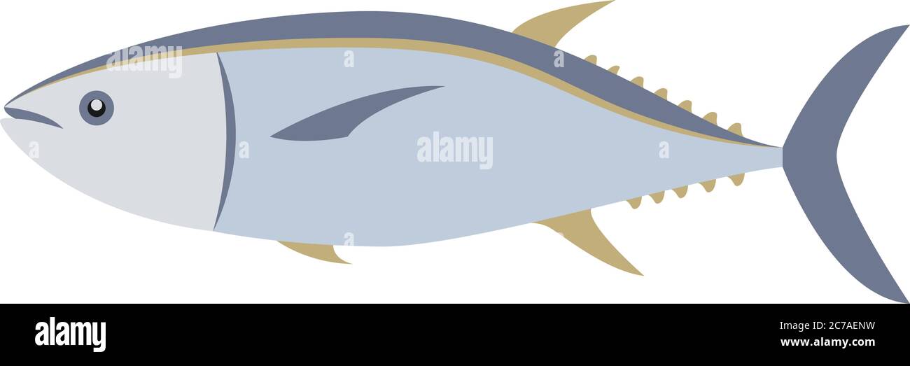 Tuna fish isolated vector Stock Vector Image & Art - Alamy