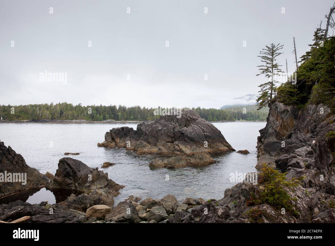 Natural hot spring in British Columbia, Canada Stock Photo - Alamy