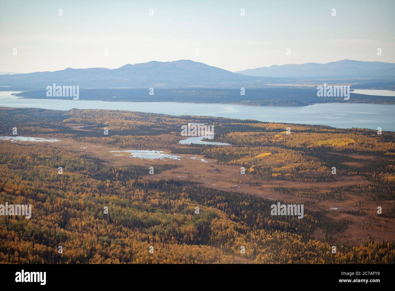 Aerial view of Alaska's vast wilderness, with autumn foliage blanketing ...