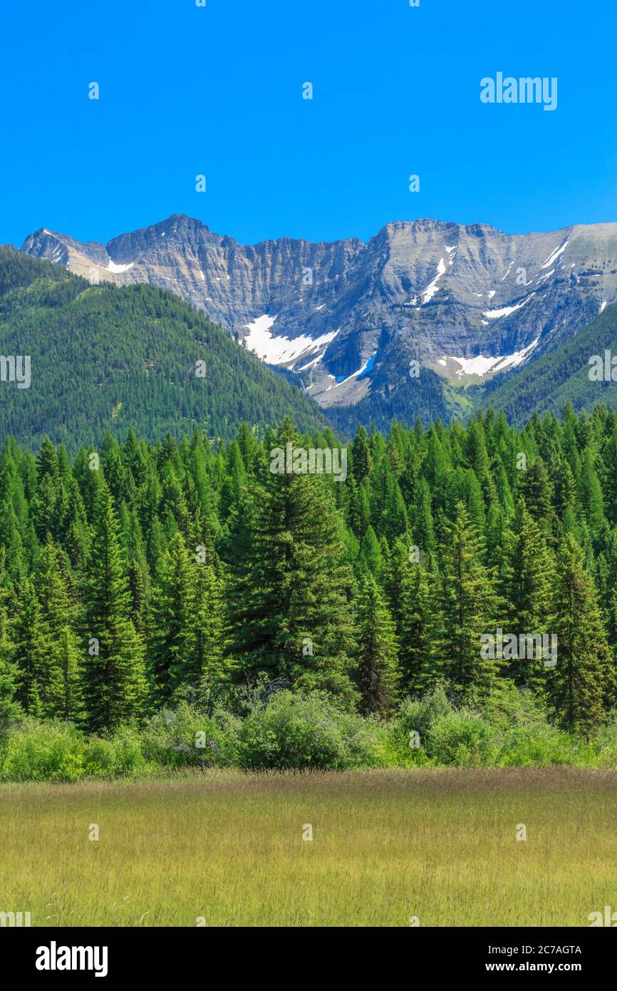 swan peak in the swan range above simmons meadow near swan lake ...