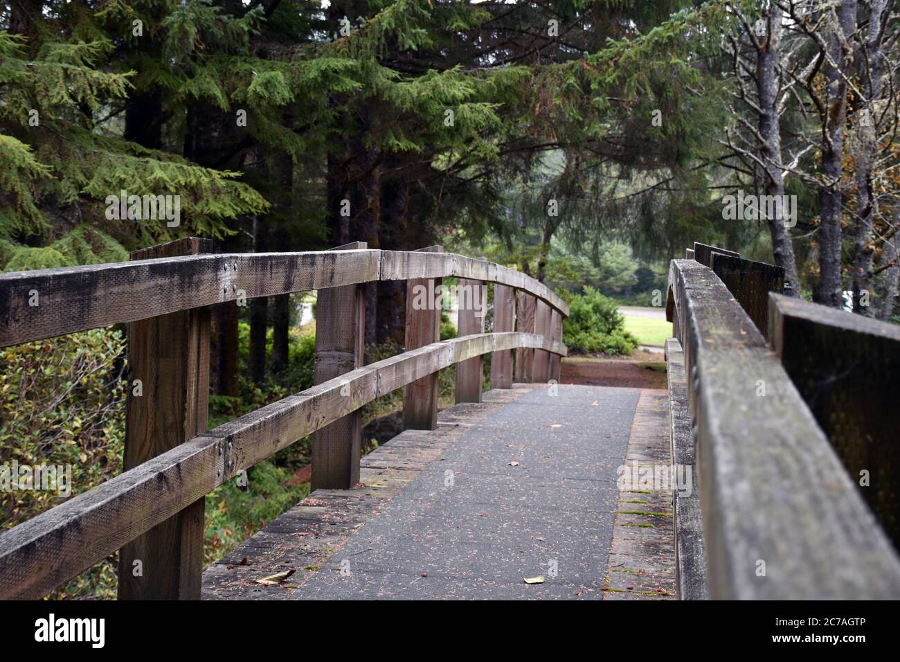A bridge in a forest Stock Photo - Alamy