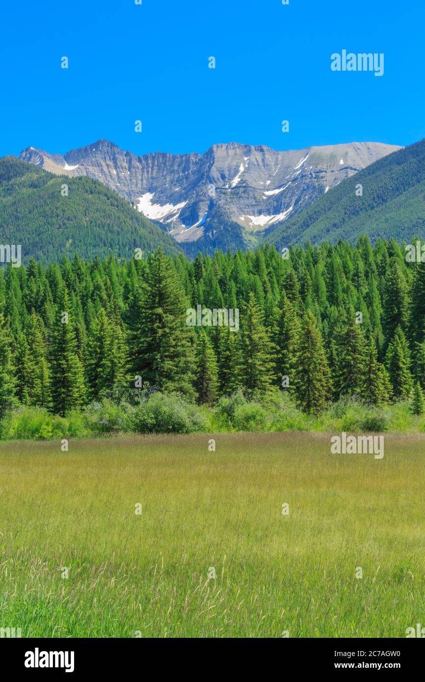 swan peak in the swan range above simmons meadow near swan lake ...