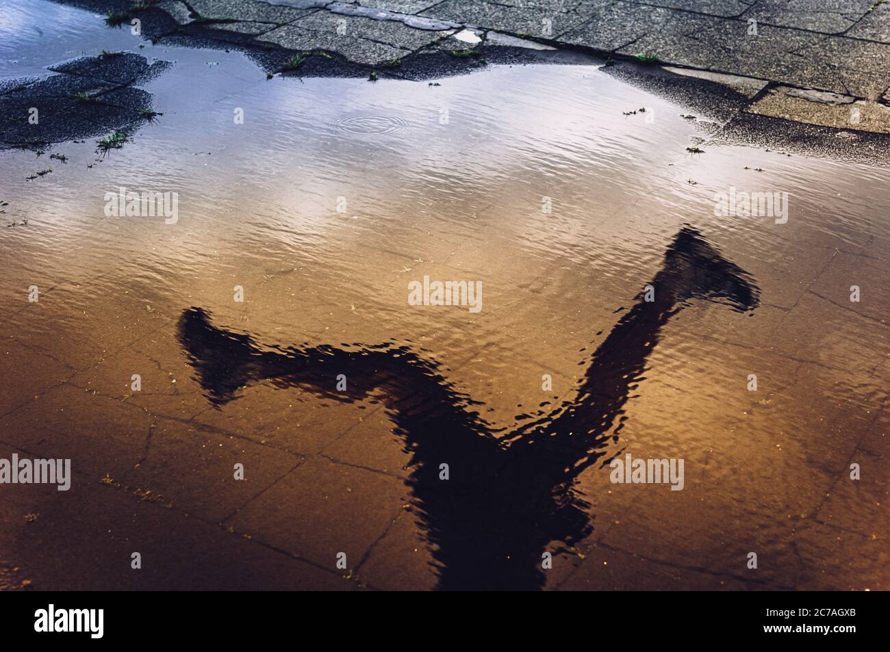 Man jumping in puddle hi-res stock photography and images - Alamy