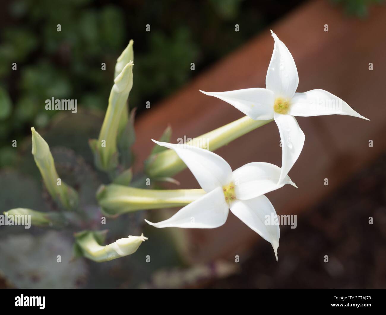 Penwiper hi-res stock photography and images - Alamy