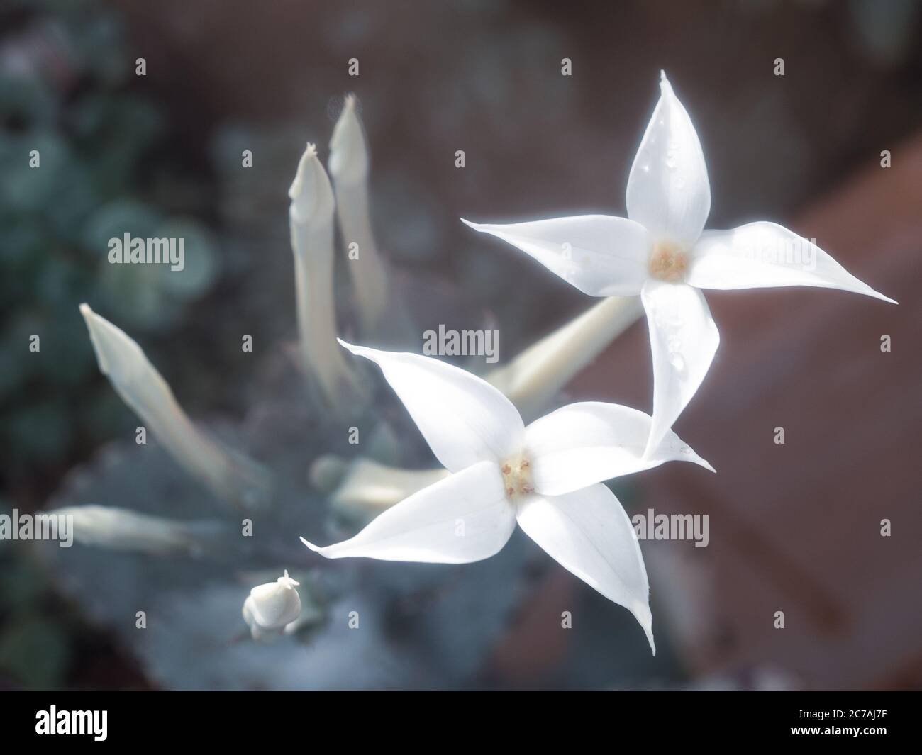 Penwiper hi-res stock photography and images - Alamy