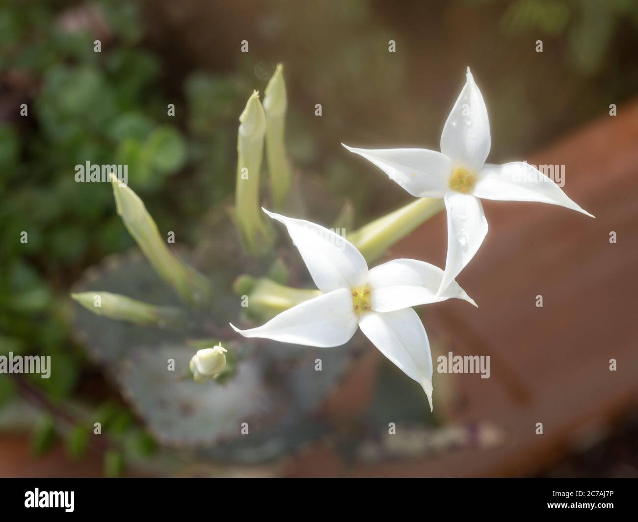 Penwiper hi-res stock photography and images - Alamy