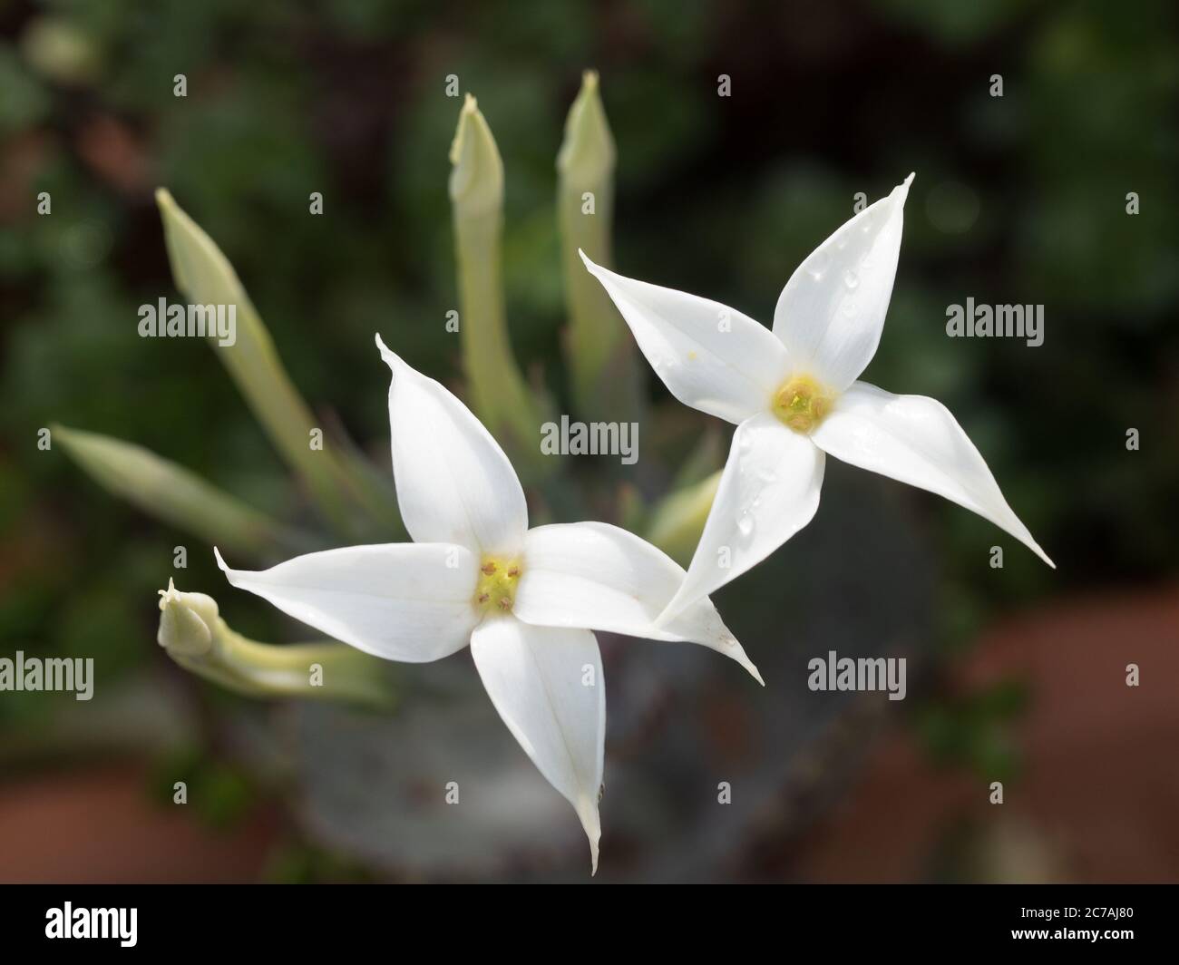 Penwiper hi-res stock photography and images - Alamy