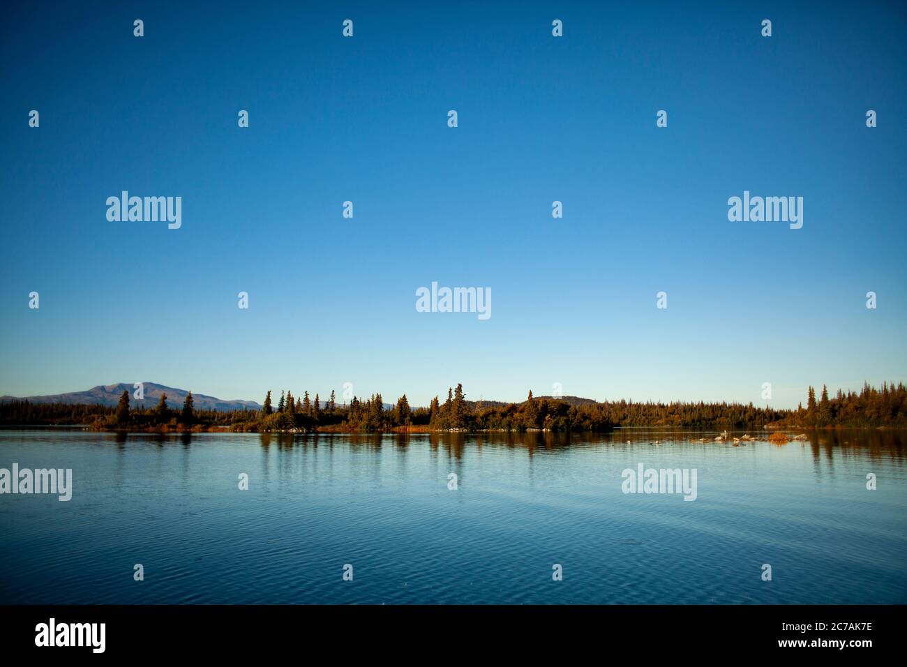 Lake Iliamna, Alaska, under a clear blue sky, with calm waters ...