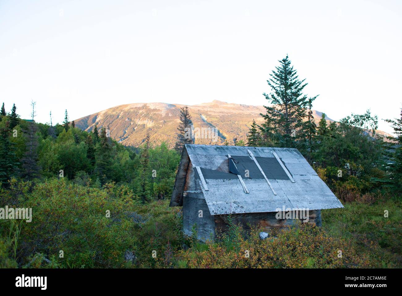 A rustic cabin with a tin roof sits amidst lush greenery near Lake ...