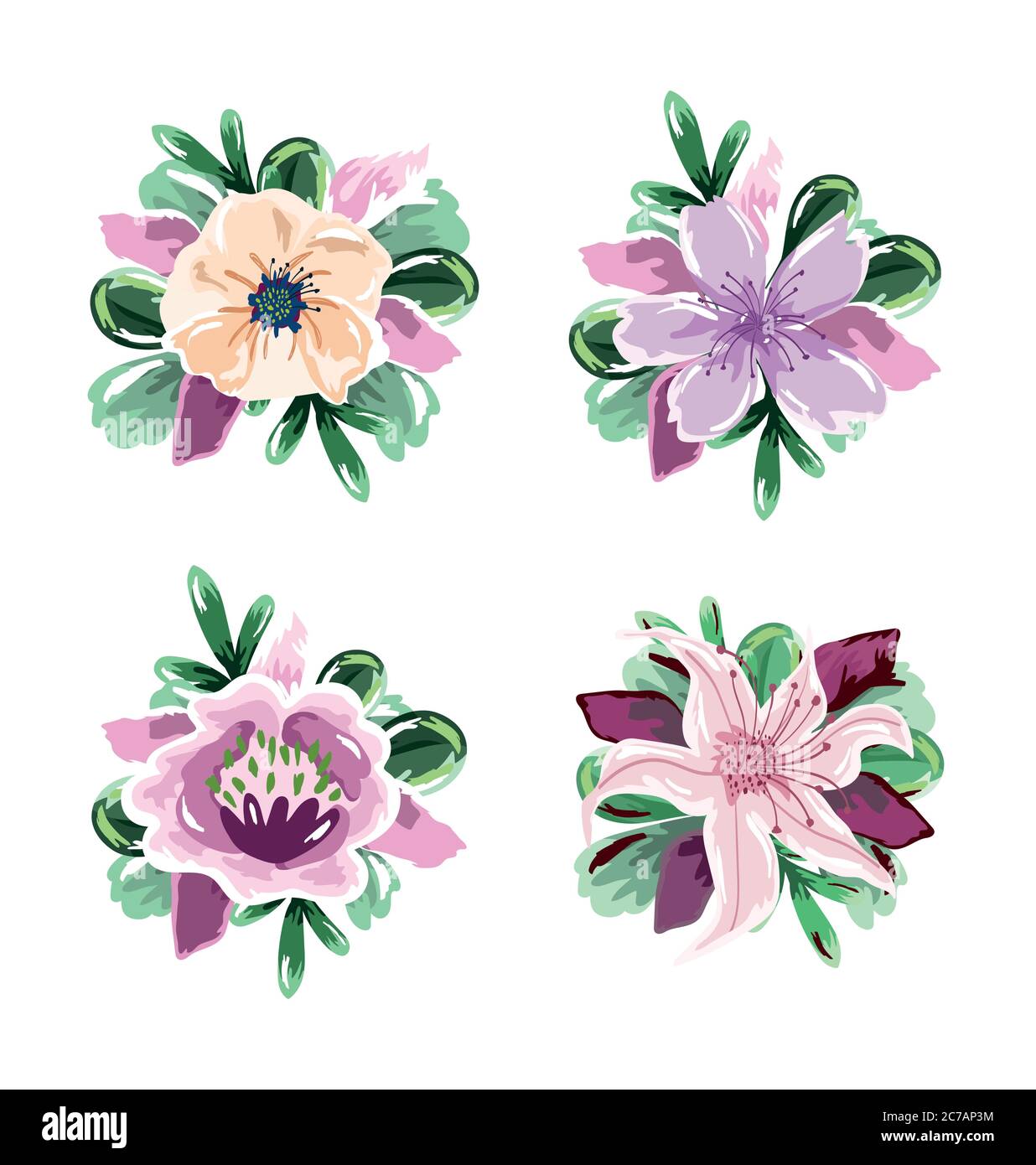 delicate flowers foliage decoration nature floral design vector ...