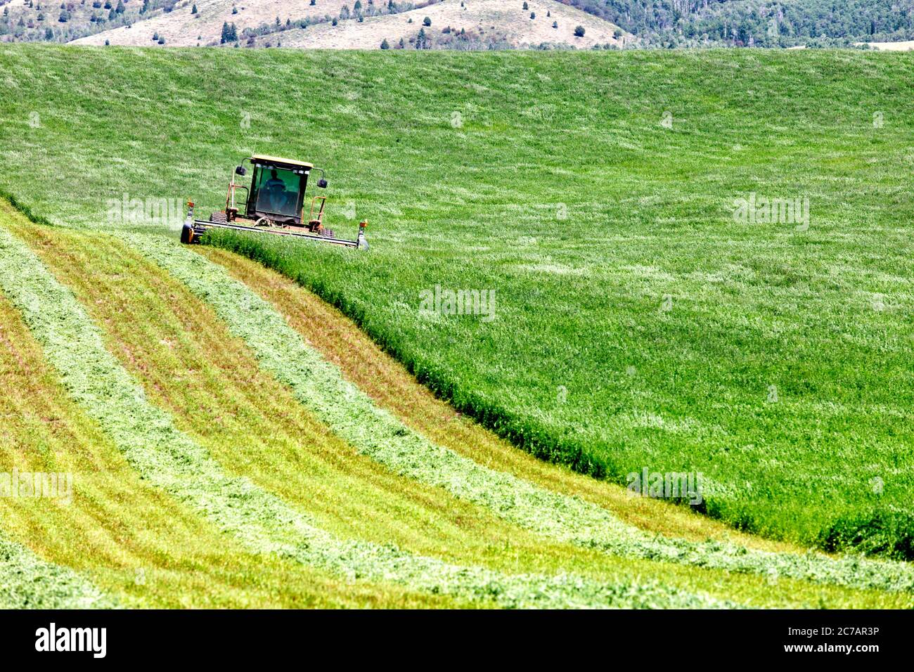 Farmer harvesting hay hi-res stock photography and images - Alamy