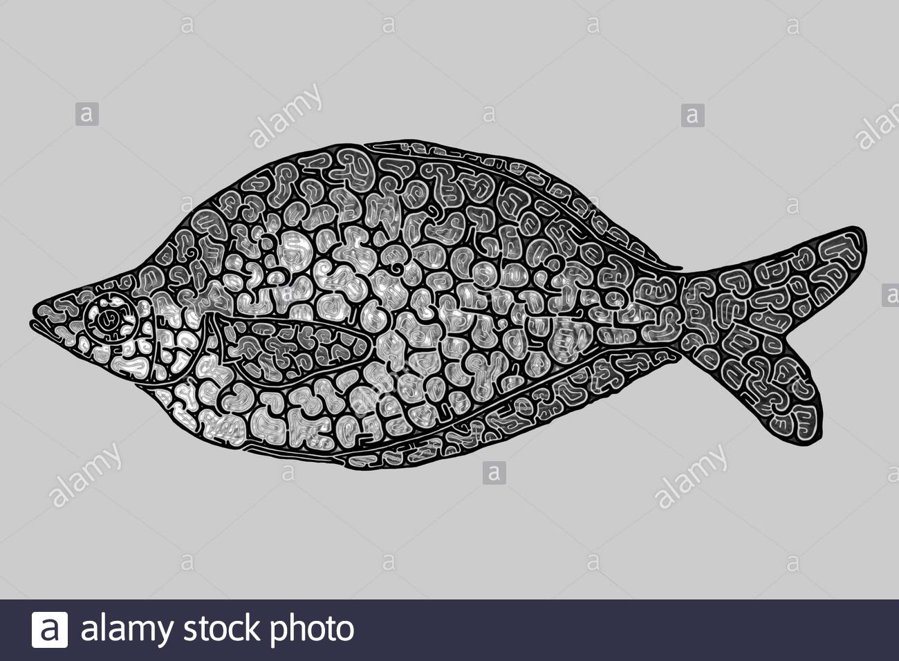 Fish Lateral Line High Resolution Stock Photography and Images - Alamy