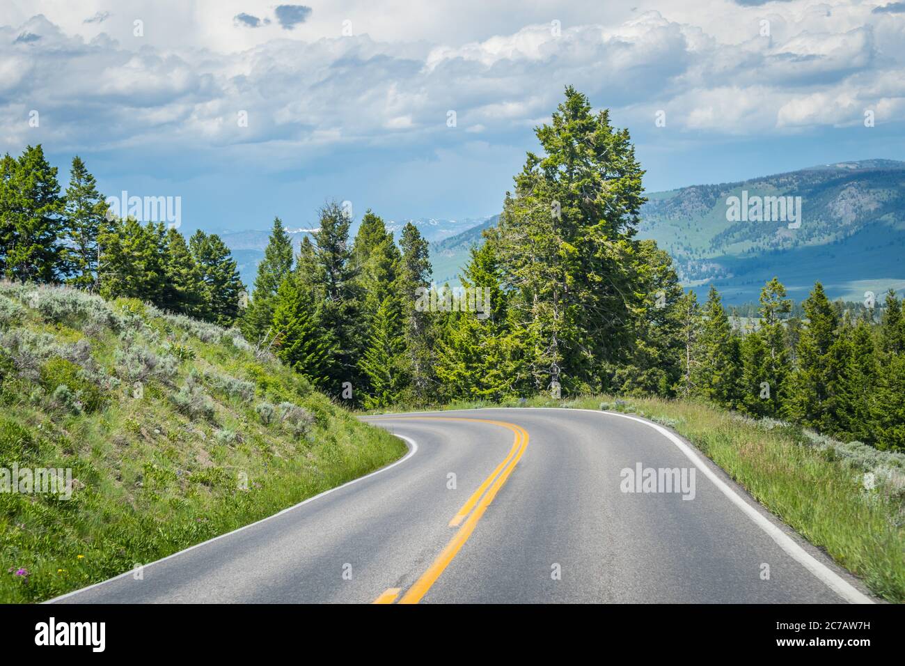 Yellowstone Road High Resolution Stock Photography and Images - Alamy