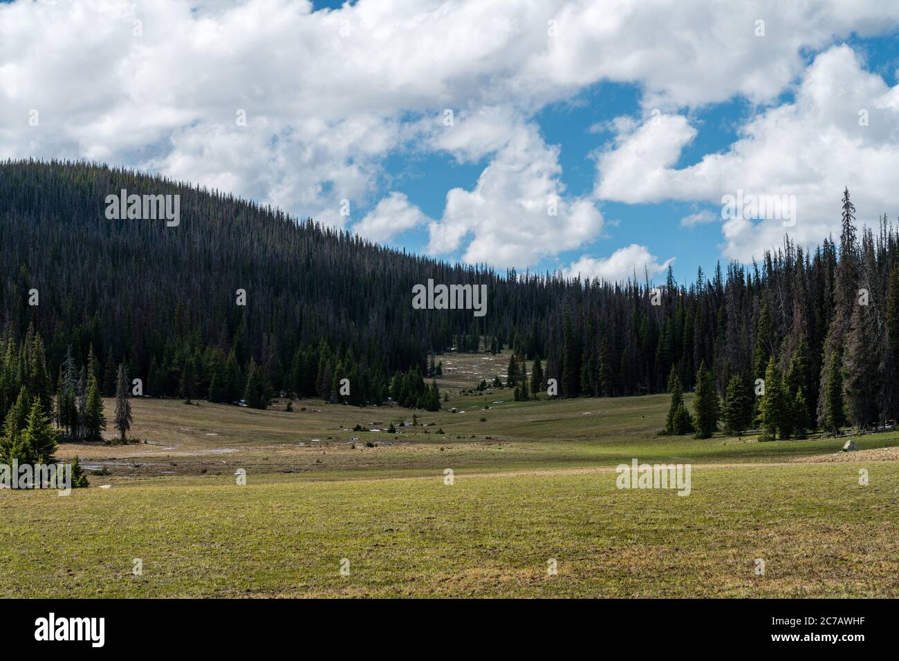 Long meadows hi-res stock photography and images - Alamy