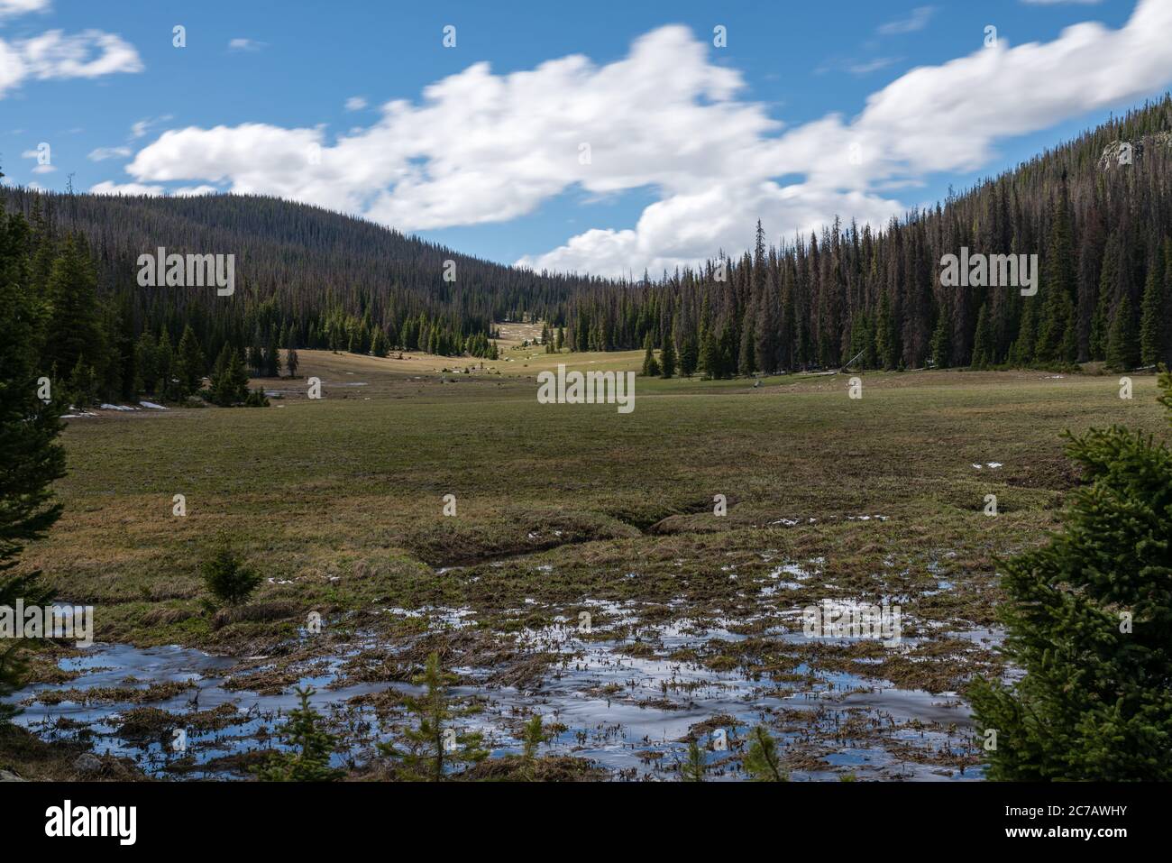 Long meadows hi-res stock photography and images - Alamy