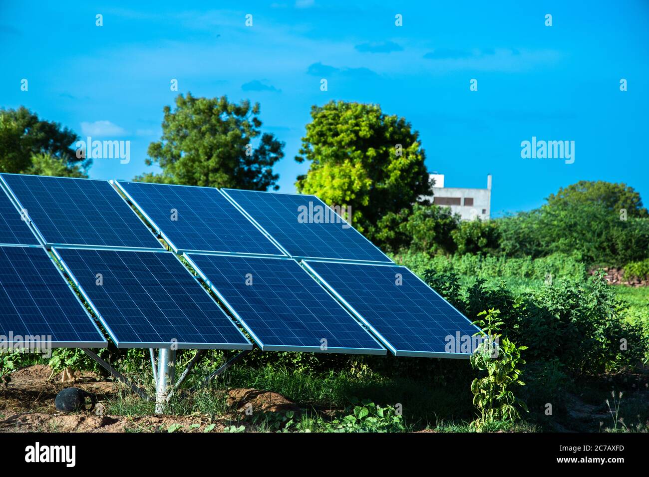 Small Solar Panel Installed In Agriculture Field With Blue Sky, Green ...