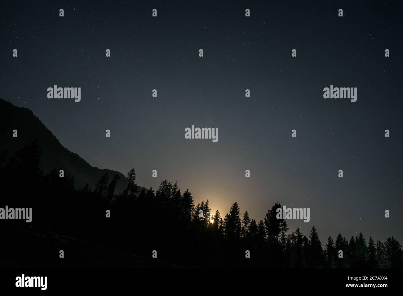 Photo of amazing night sky inside the green valley nature view with ...