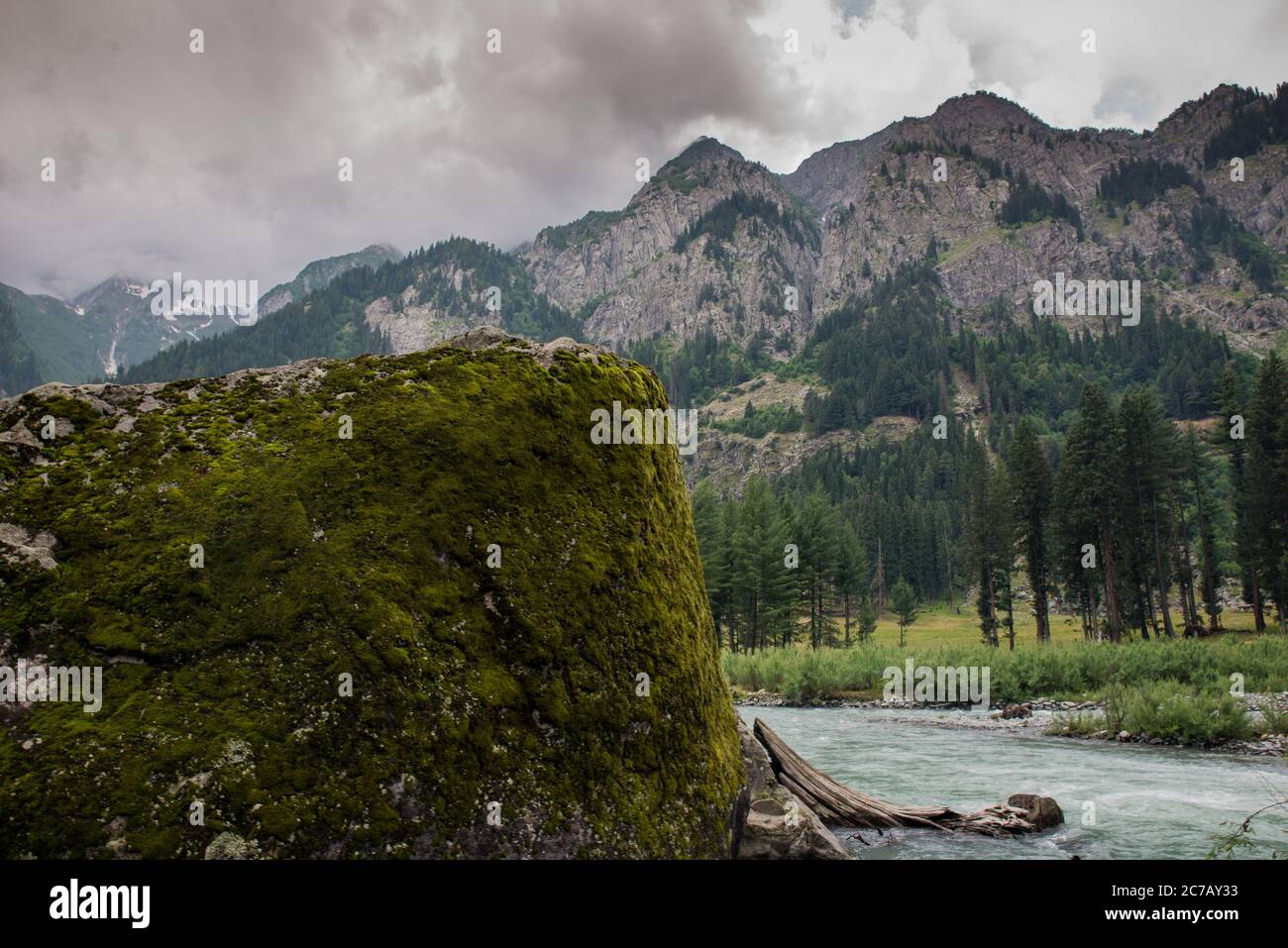 River inside the green valley nature landscape with copy space for your ...