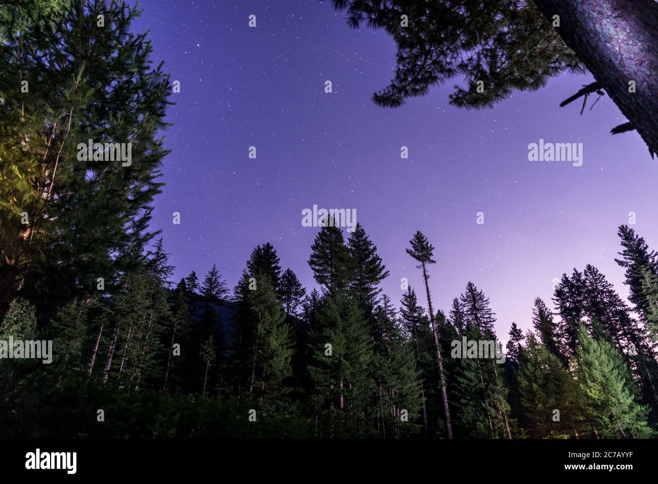 Photo of amazing night sky inside the green valley nature view with ...