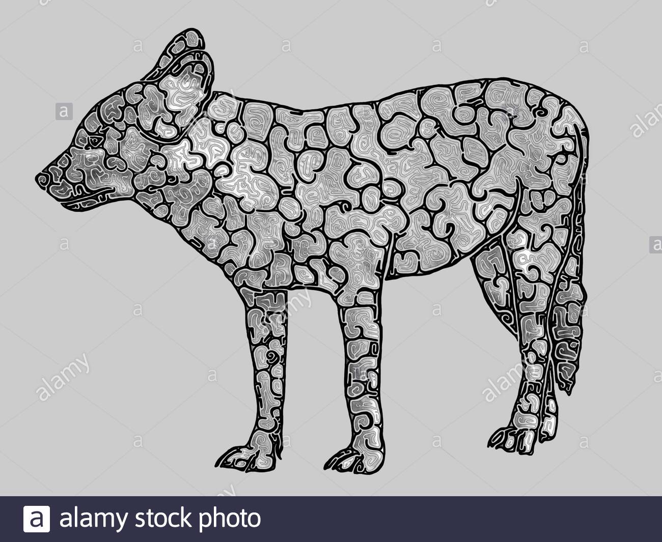 Cuon Alpinus Lepturus High Resolution Stock Photography and Images - Alamy