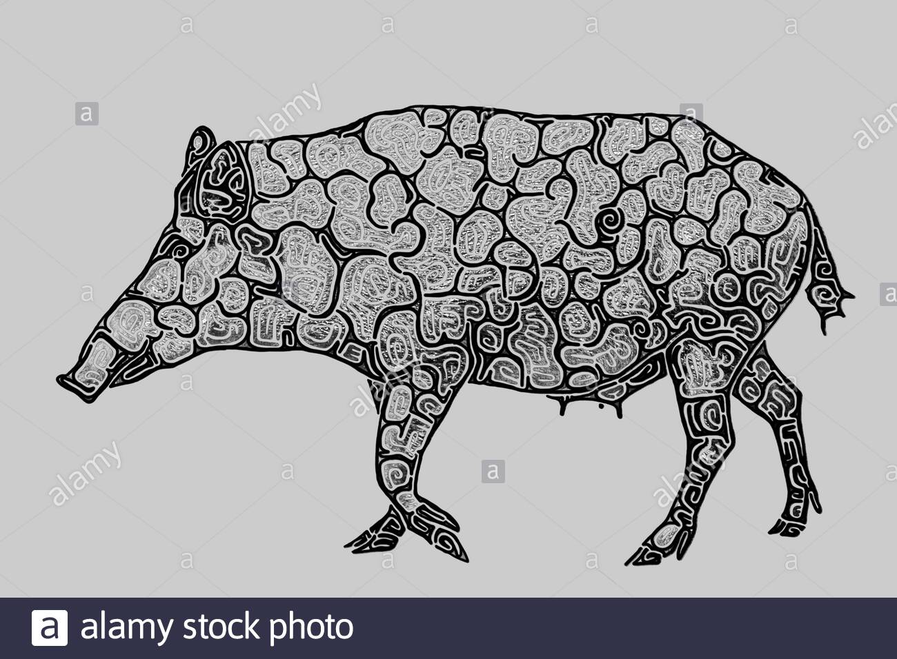 Illustration Of Wild Boar High Resolution Stock Photography and Images ...