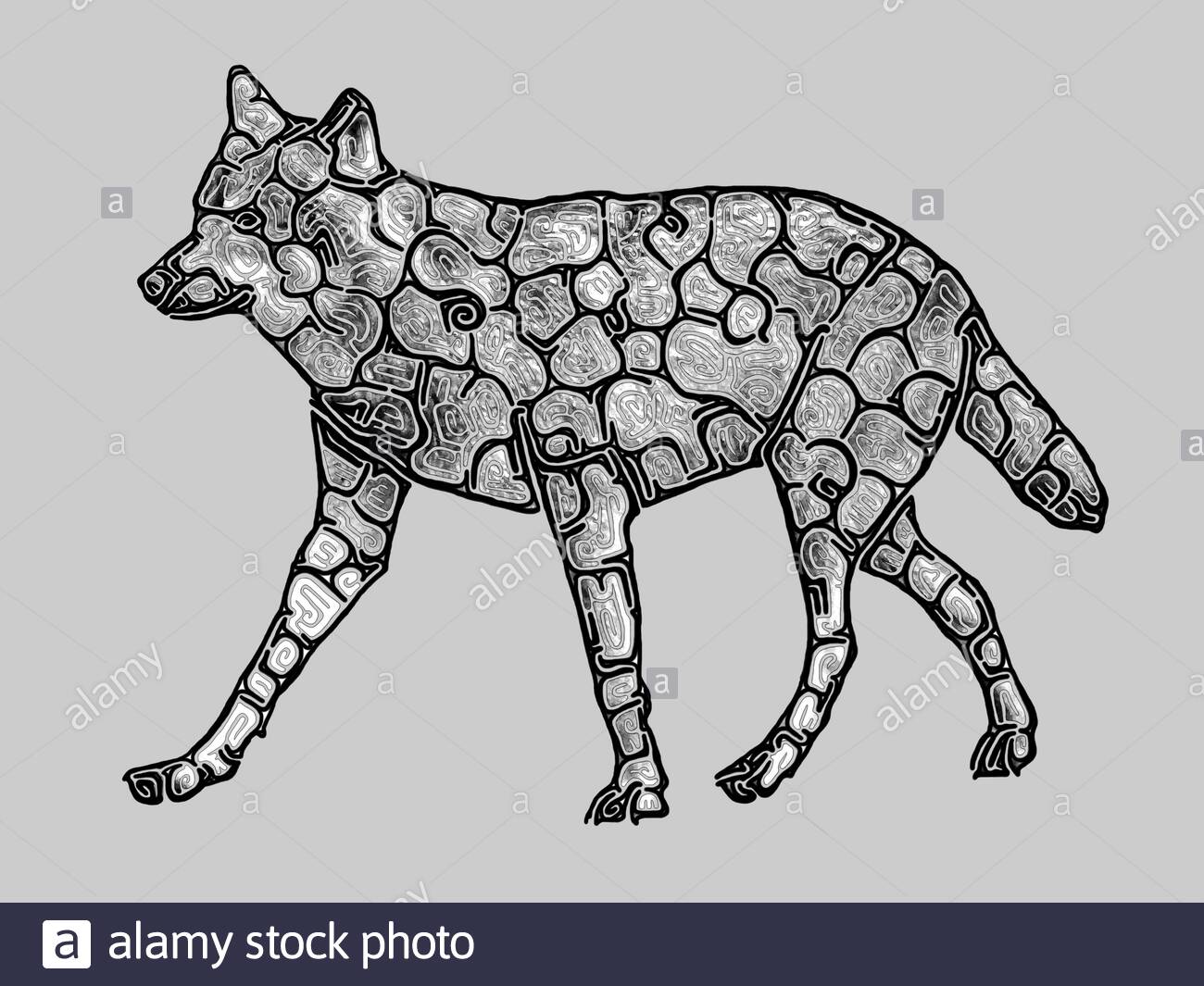 Wolf Illustration Canis Lupus High Resolution Stock Photography and ...