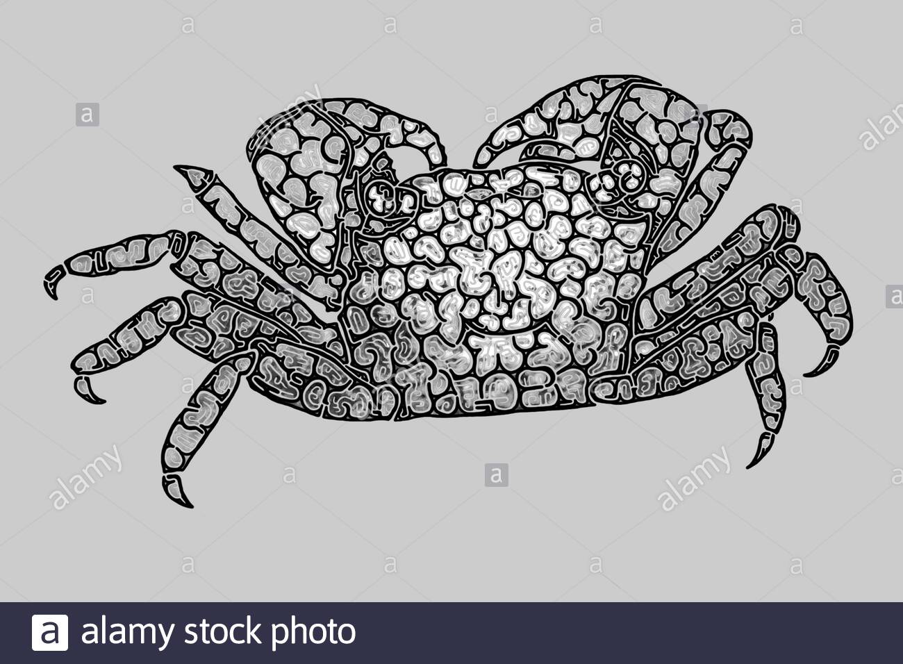 Crab Drawing High Resolution Stock Photography and Images - Alamy