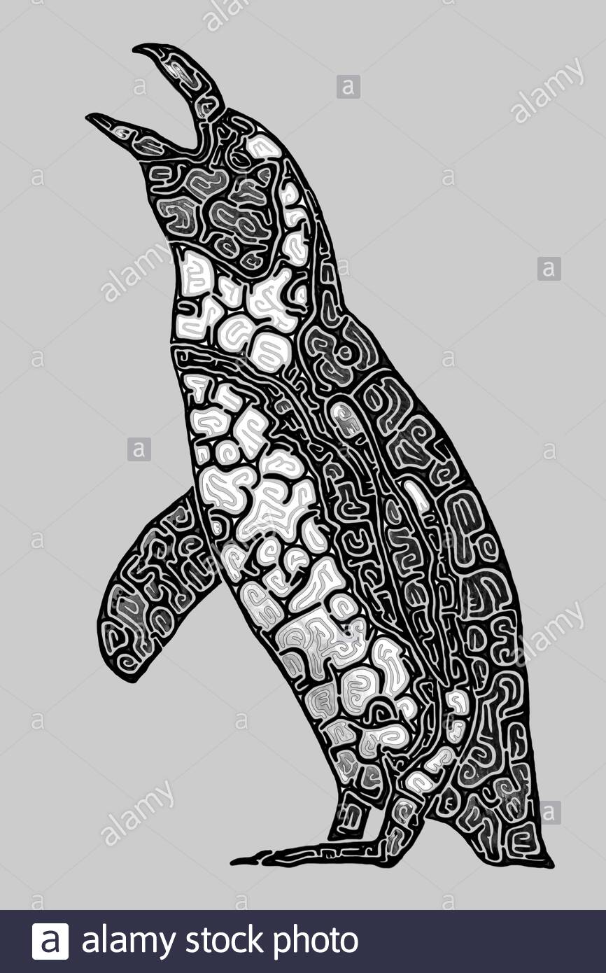 African Penguin Dive High Resolution Stock Photography and Images - Alamy