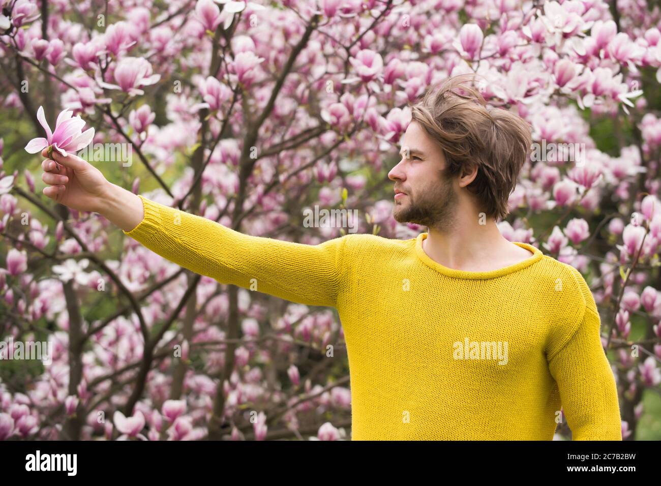 Flourishing and growth. Man holding magnolia flower in park with ...