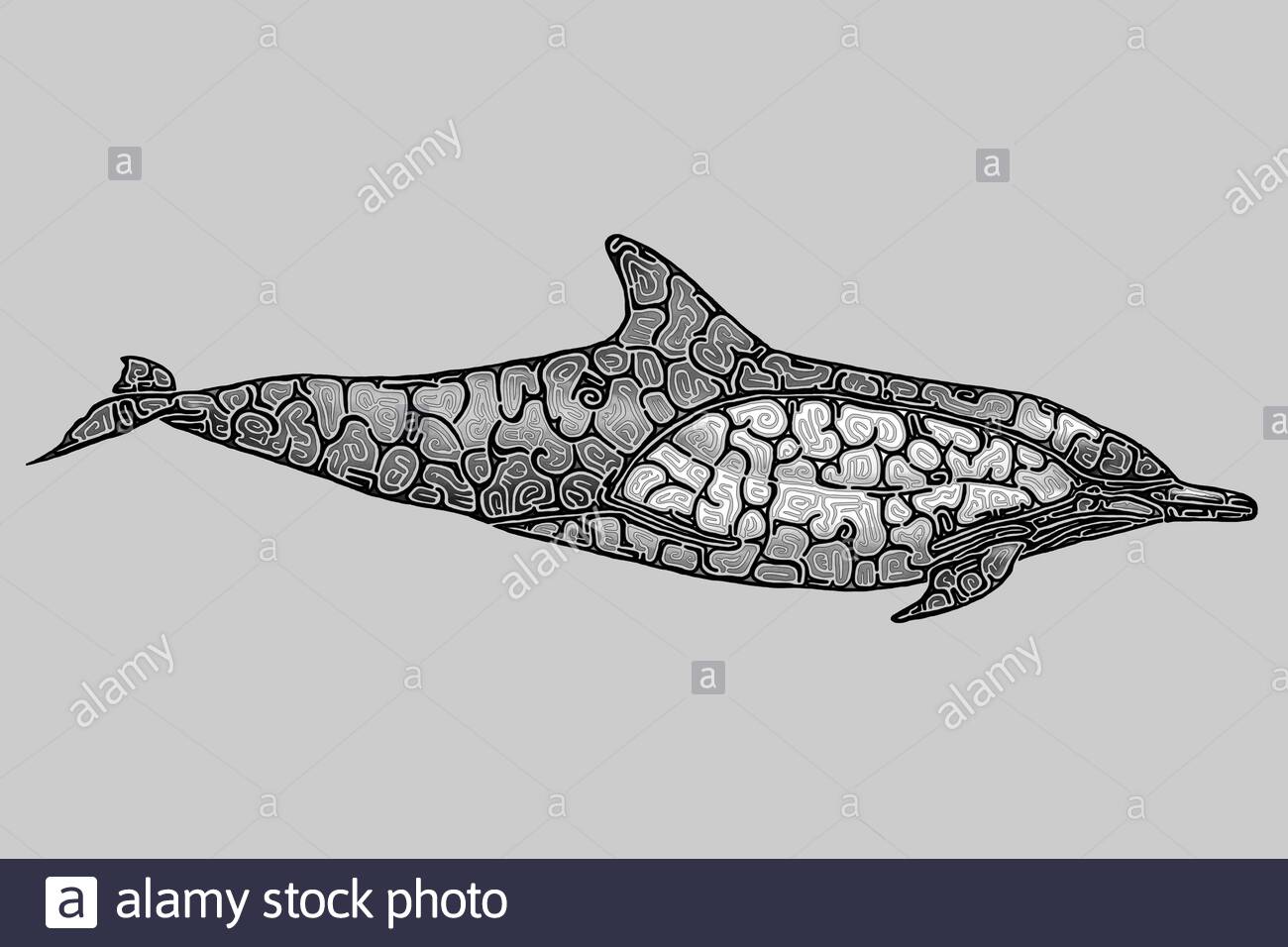 Black And White Dolphin Drawing High Resolution Stock Photography and ...