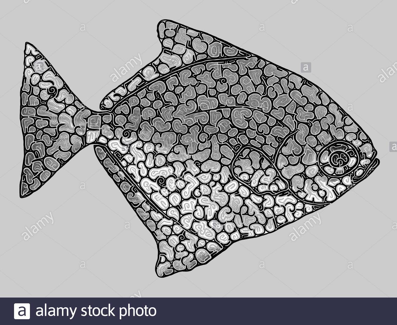 Fish Lateral Line Illustration High Resolution Stock Photography and ...