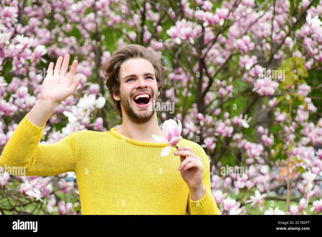 Man and magnolia trees hi-res stock photography and images - Alamy
