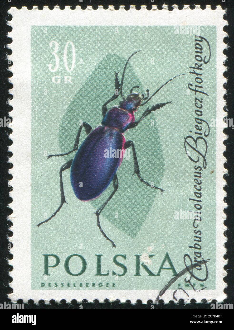 POLAND - CIRCA 1961: stamp printed by Poland, shows insect, circa 1961 ...