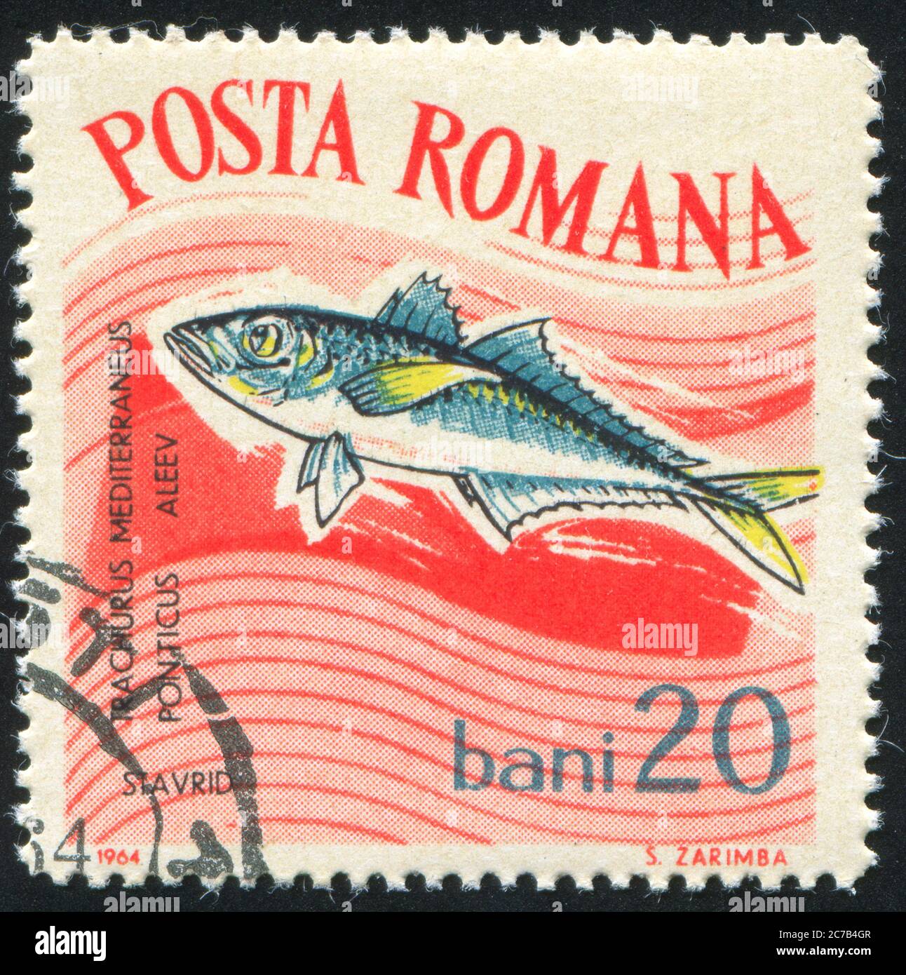 Mediterranean scad hi-res stock photography and images - Alamy