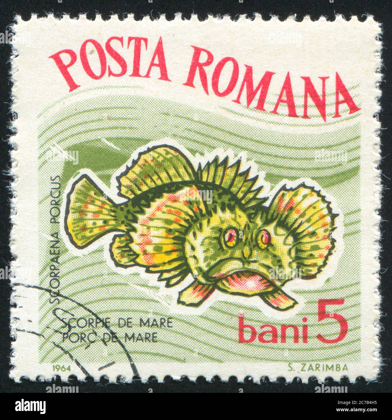 ROMANIA - CIRCA 1964: stamp printed by Romania, show Hogfish, circa ...